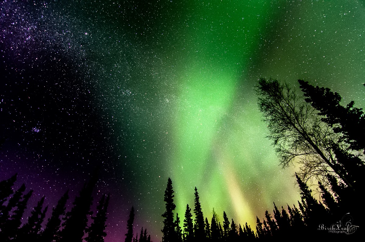 Last night’s aurora show! with photos - Aurora Borealis Notifications