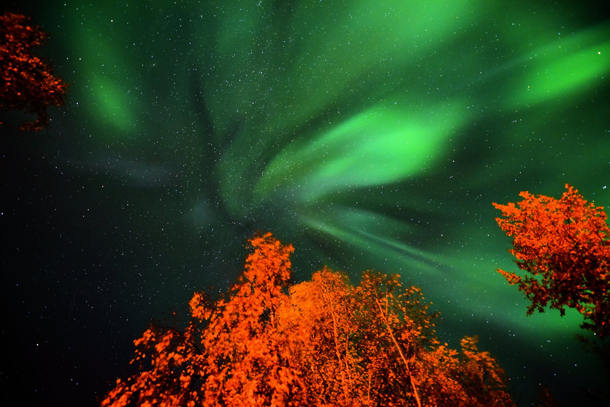 Tonight’s forecast Kp 2 - Aurora Borealis Notifications